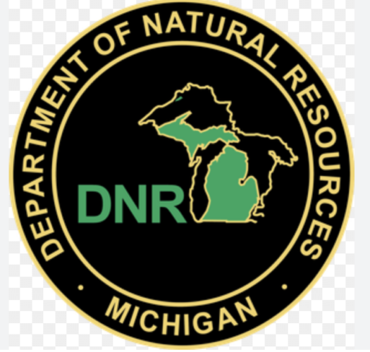 NE Michigan fishing report | News, Sports, Jobs - The Alpena News